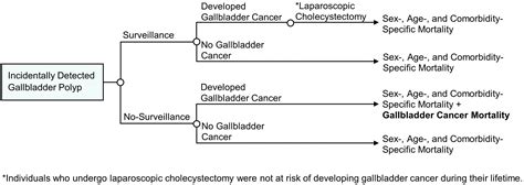 Ultrasound Surveillance Of Small Incidentally Detected Gallbladder