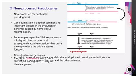 Junk Dna Non Coding Dna And Its Importance Regulatory Rnas Rna