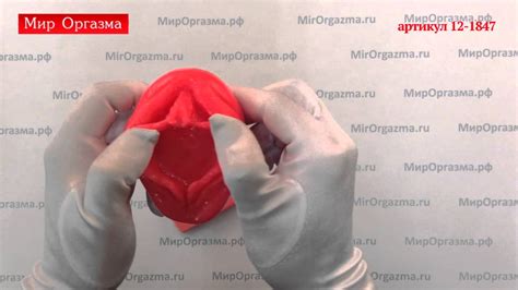 Вагина девственница Youtube