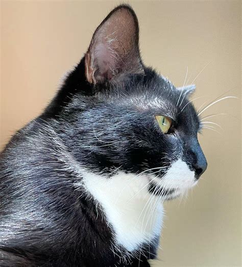 my friend takes pictures has a cat and doesn t use reddit his loss