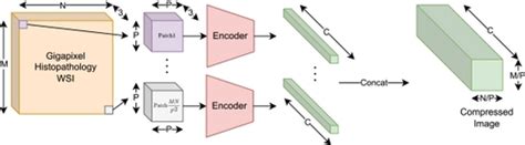 efficient high resolution deep learning a survey acm computing surveys