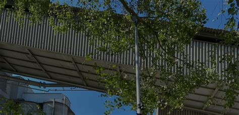 Tree Reduction Gold Coast Tree Menders Tree Care