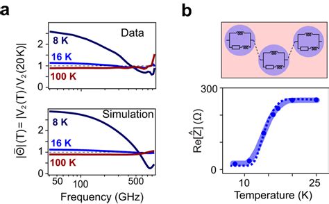 Probing The Equilibrium Superconducting Transition With Ultrafast