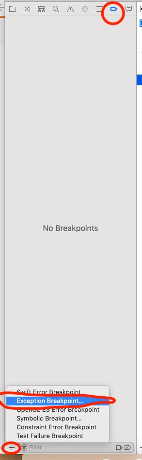 Swift Debugging Ios App Opened Through Custom Url Stack Overflow
