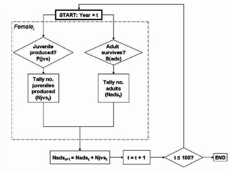 Flow Diagram Showing Algorithm Used For Each Iteration In Stochastic