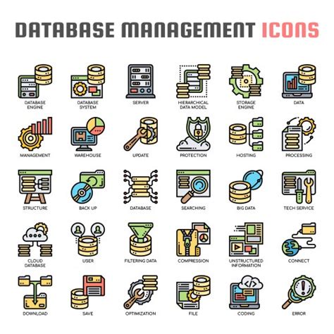 php and mysql development database management vector image