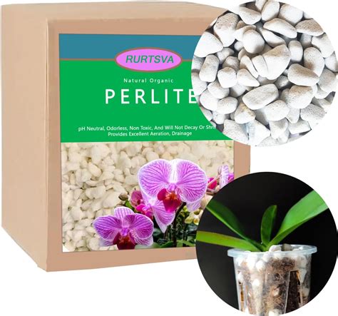 Natural 1 2cm Hard Chunky Perlite 10qt For Plants