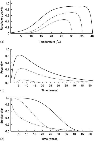 The Structure Of The Model Used For The Simulation Of The Population