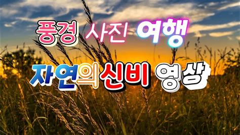 풍경여행길자연의신비 영상아름다운영상힐링 영상 Youtube