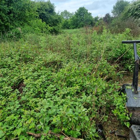 Luke Hammill On Linkedin Site Clearance Works Completed For Taylor Wimpey Today Great Team Work