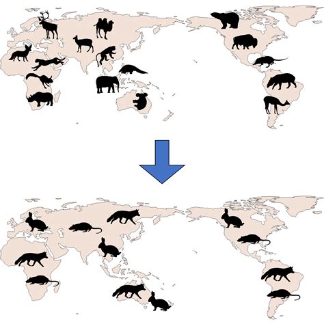 Research Peter Williams