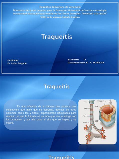Traqueítis Causas Síntomas Y Tratamiento Pdf Tos Enfermedades Respiratorias