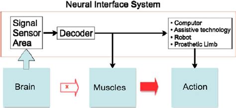 Design Of A Neural Interface System P Download Scientific Diagram
