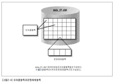 Oracle 오라클의 구조 정리1 인스턴스와 데이터베이스 데이터베이스의 구성 요소