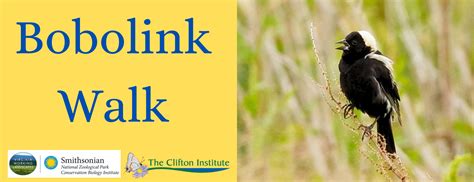 Bobolink Walk Virginia Working Landscapes Bobolink Walk Virginia Working Landscapes