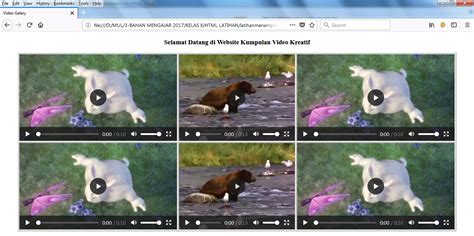 Contoh Materi Menampilkan Gambar Dan Video Menggunakan HTML Modul Komputer
