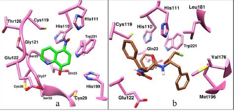 Image 2a Indicate The Bound Crystal Structure Of Nitroxoline With Catb