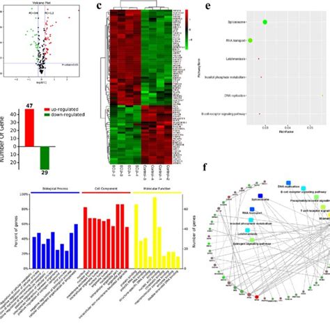 Proteomic Analysis Of Differentially Expressed Proteins A