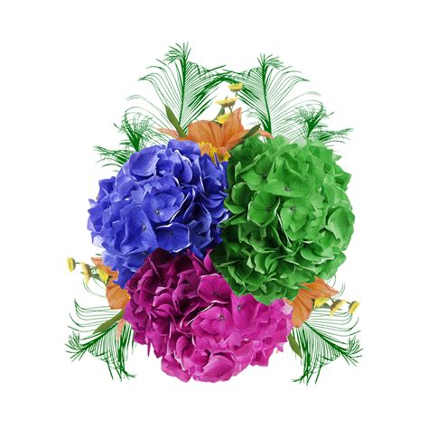 1 000 무료 카네이션 And 꽃 이미지 Pixabay