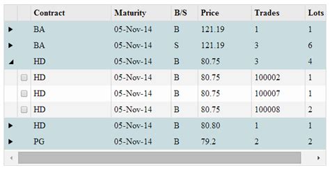 Angularjs Displaying Ng Grid Group Information Inside The Grid As In A
