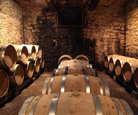 How Heat Influences Wineries Production Process Forniture Horeca