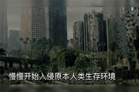 如果人类从地球上消失地球会变成什么样看完难以置信