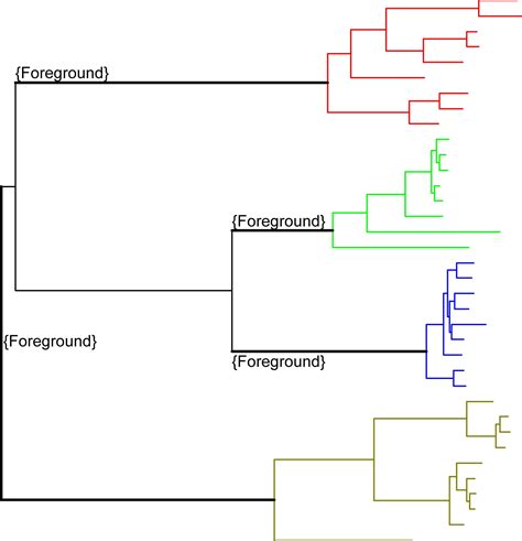 labels on the tree · issue 1301 · veg hyphy · github