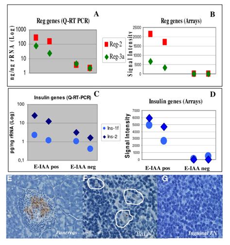 validation of expression patterns of selected genes differentially