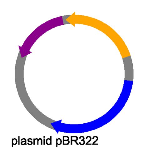 Managing Your Biological Data With Python Ugopydoc