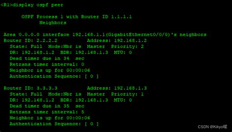 ospf简单实验 路由器之间建立邻居关系 并且把环回口 loopback 地址宣告到ospf中 csdn博客