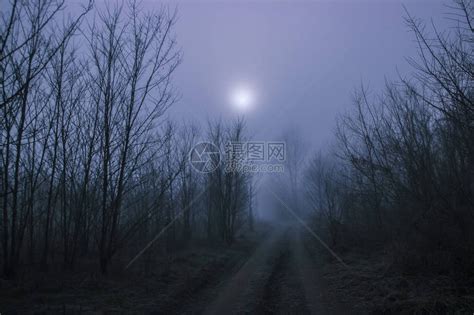 天鹅绒雾和孤独月亮的荒原高清图片下载 正版图片507402592 摄图网