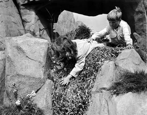 Lee Aaker Actor Producer Carpenter