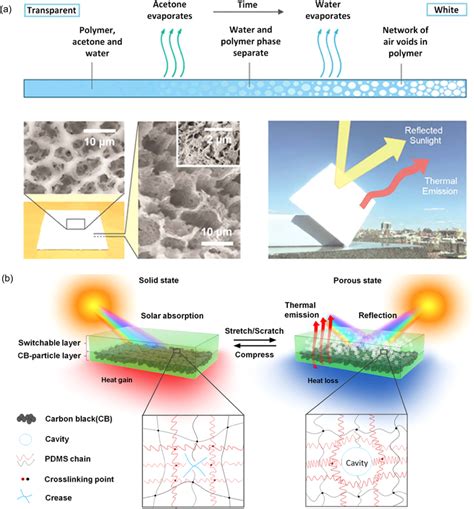 Porous Coatings Made From Droplet‐embedded Polymers For Passive Daytime Download Scientific