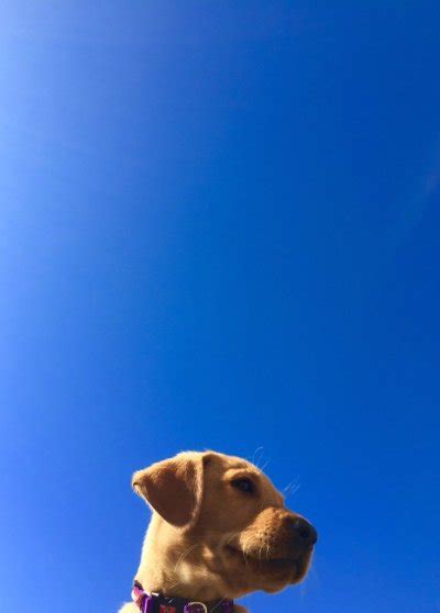 post [644956841899638784] kalws ta arxidia mas ta tumbex