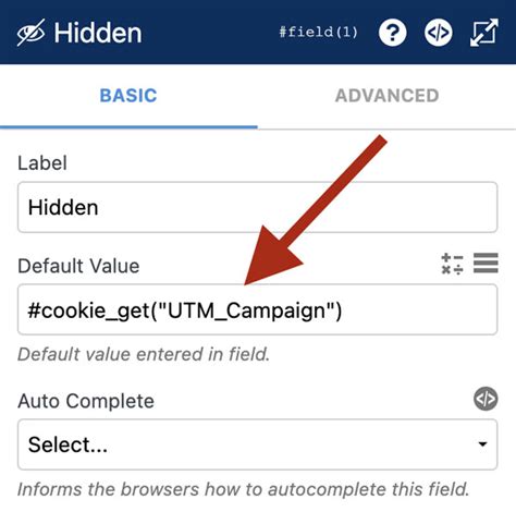 Insert Cookie Values Into Fields WS Form