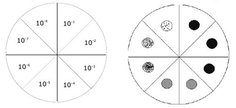 miles and mishra enumeration surface drop introduction formula