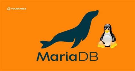 So Installieren Sie Mariadb Auf Einem Linux Server