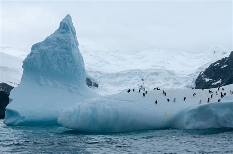 12 Photos Of Elephant Island That Will Make You Want To Go To