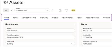 Creating Assets Insight