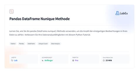 Python Pandas Dataframe Unique Count Data Analysis Labex
