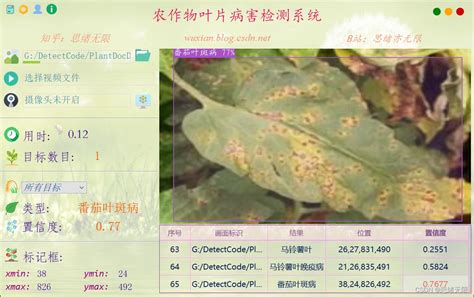 基于深度学习的农作物叶片病害检测系统（ui界面 Yolov5 训练数据集） 阿里云开发者社区