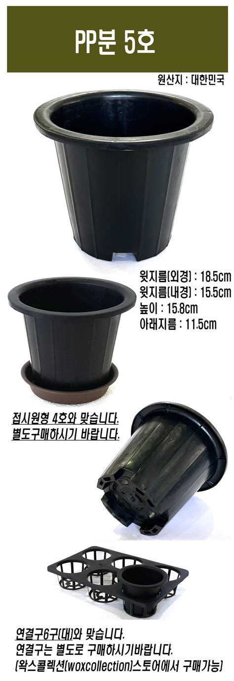 플라스틱화분 Pp분5호 분갈이흙 화분 모종