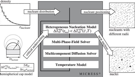 2 The Phase Field Model Can Be Integrated With Different Nucleation