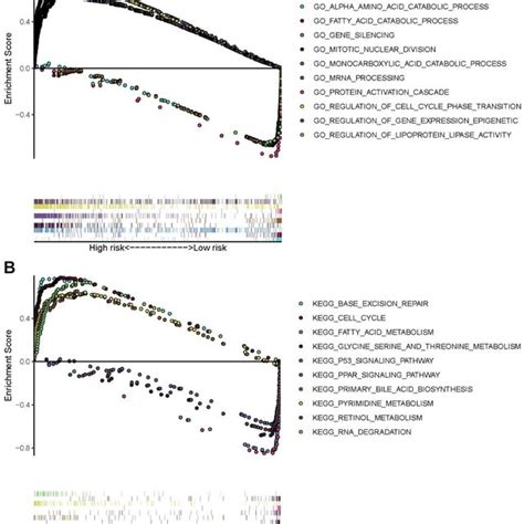 The Top 10 Up Regulated And Down Regulated Genes Download Scientific