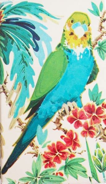 Parrot Bird Print Pattern Exotic Ilustraciones Arte Periquitos