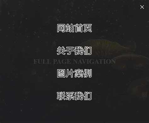 Html5全屏遮罩导航栏特效html5实例 Html5模板网