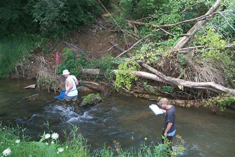 Career Outcome Environmental Engineering