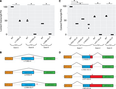 Functional Assays Reclassify Suspected Splice Altering Variants Of Uncertain Significance In
