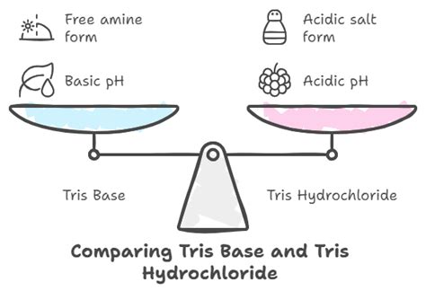 Tris Hydrochloride Vs Tris Base Choosing The Right Tris For Your Buffer