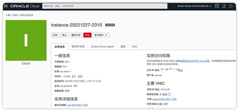 甲骨文dd重装系统及失联救砖教程 甲骨文云重置系统 Csdn博客